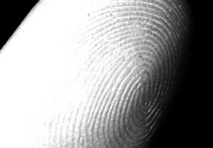 How to: Clean Fingerprints off Optics with Ground Glass Barrels