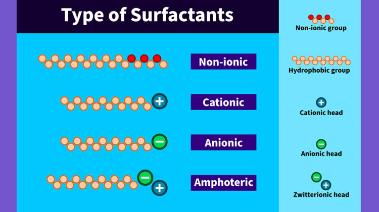 types of surfactants