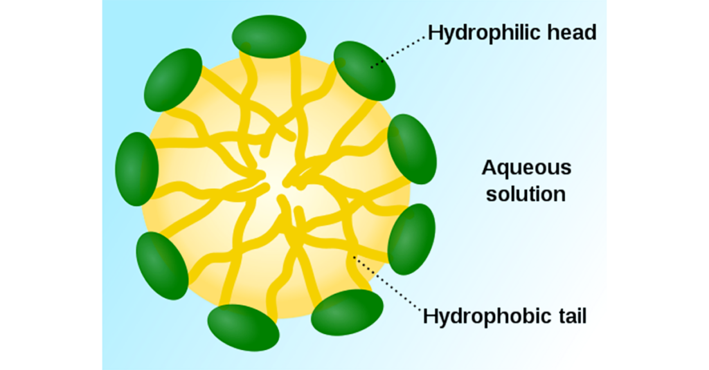 532px-Micelle_scheme-en.svg_-e1409859087197 - TechNotes – Critical ...